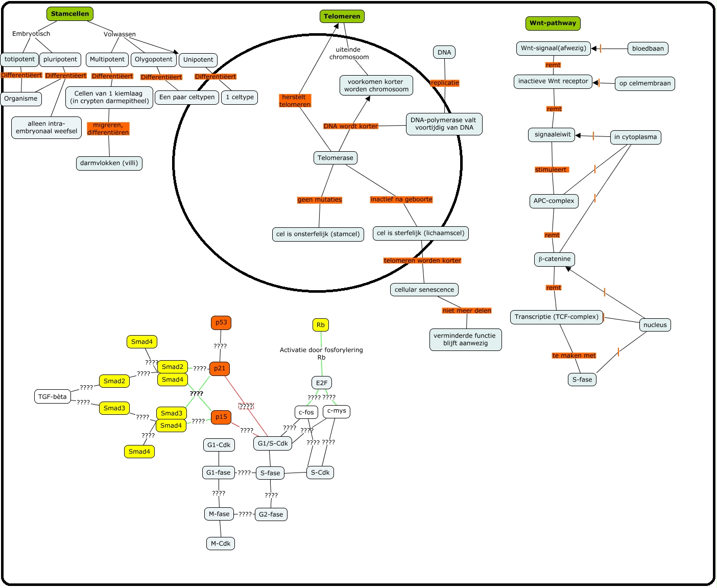 Cmap (1A,1B,2A) - stamcellen, differentiatie, de rol van telomeren, de Wnt pathway